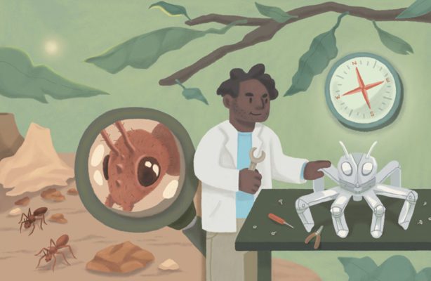 Built Like a Bug: How Insects Inspire Everyday Inventions - Quill and Quire